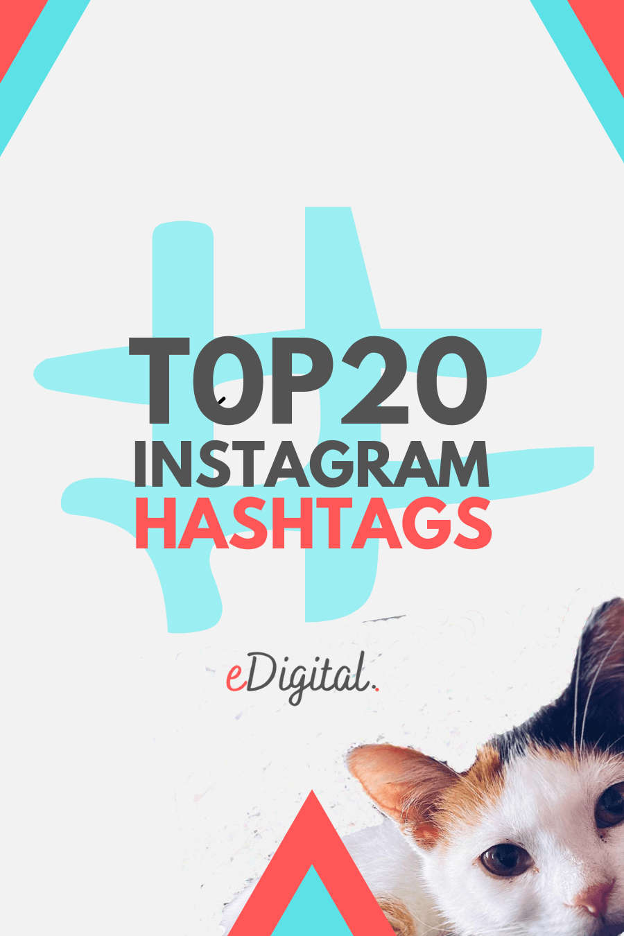LOS 20 HASHTAGS MÁS POPULARES DE INSTAGRAM EN 2023 - Talestin